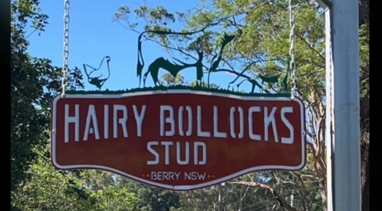 Meet Our Team - Hairy Bollocks Stud